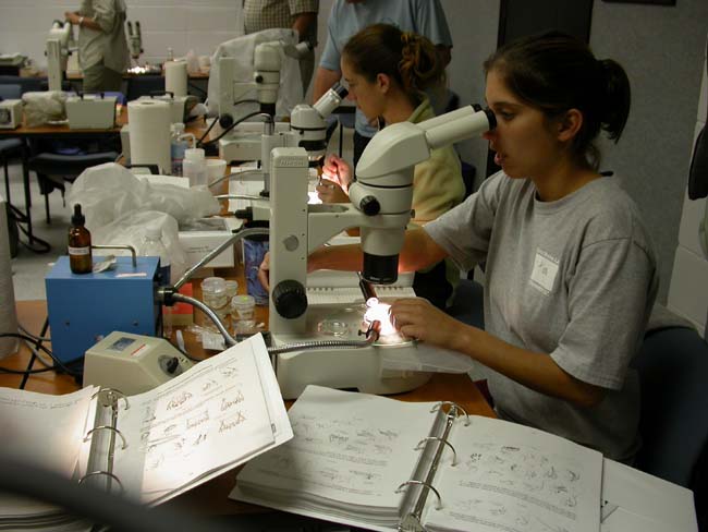 SERTC: Amphipod Workshop